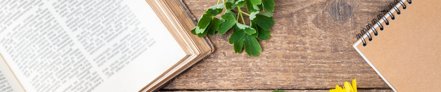 Books – National Library of New Zealand